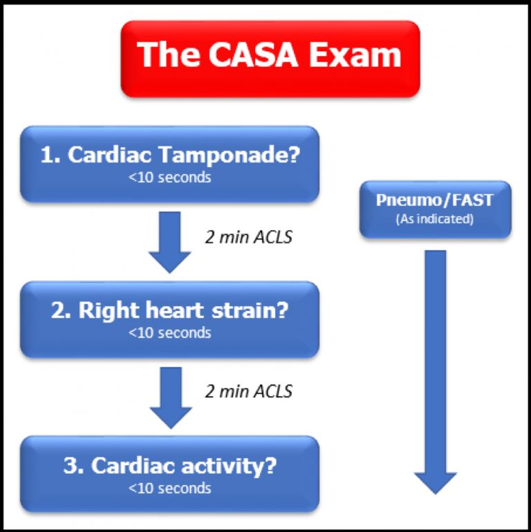 Introducing the CASA Exam: A New Protocol to Guide Point-Of-Care ...