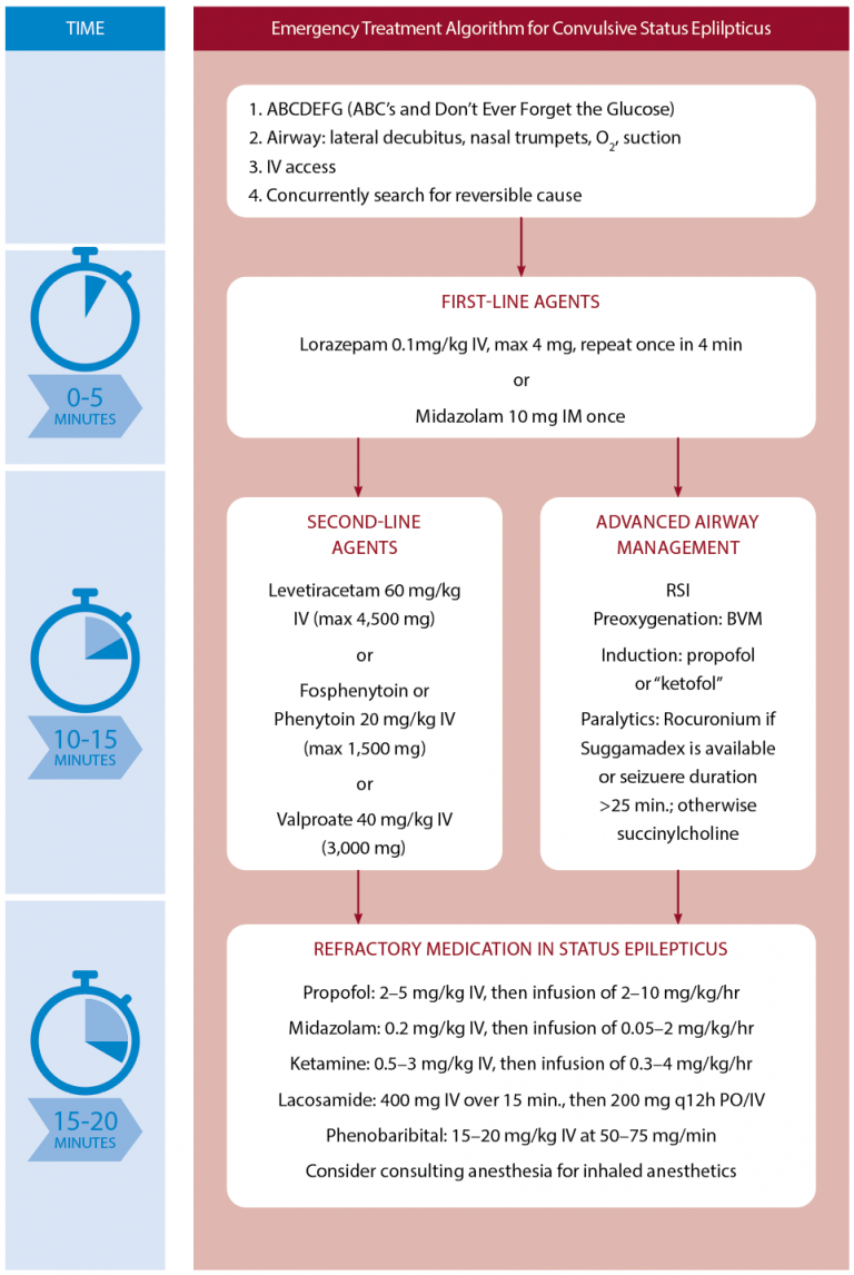 Tips for Managing Active Seizures in the Emergency Department - Page 2 ...